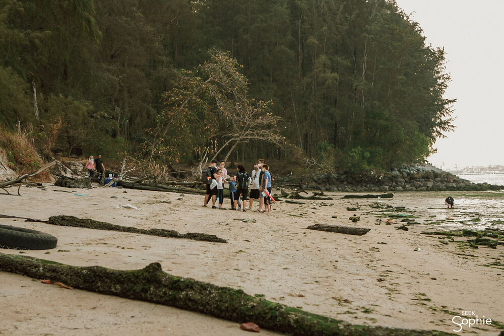 Young Nautilus - 2H Intertidal Walk | Discover Coastal Marine Life (Age ...