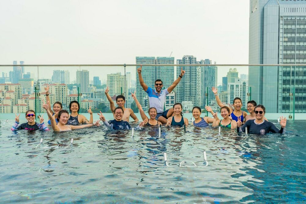 Book activities with The Ripple Club - Seek Sophie