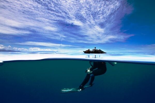 7 Best Diving in Manado in 2025 | Seek Sophie