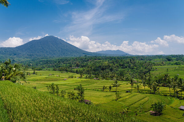 2D1N Mt Batukaru Summit w/ Camping | Seek Sophie