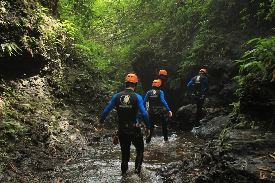 4 Best Canyoning in Bali in 2023 - Seek Sophie