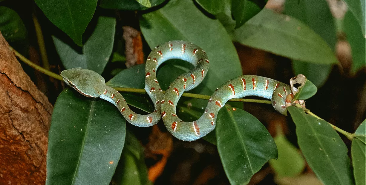 10 Best Animal & Wildlife in Singapore in 2024 - Seek Sophie