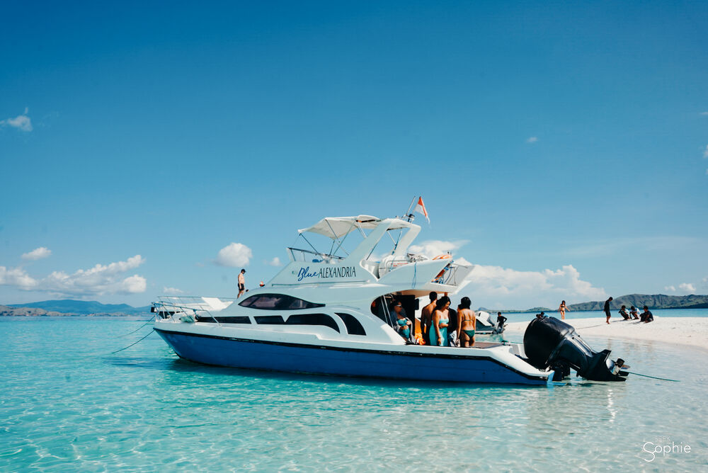 Alexandria Cruise - 1 Day Komodo Speedboat | Rare Lunch at Komodo ...