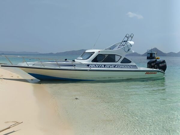 Seek Sophie | Private 1 Day Komodo Speedboat Tour (Up to 10 Guests)