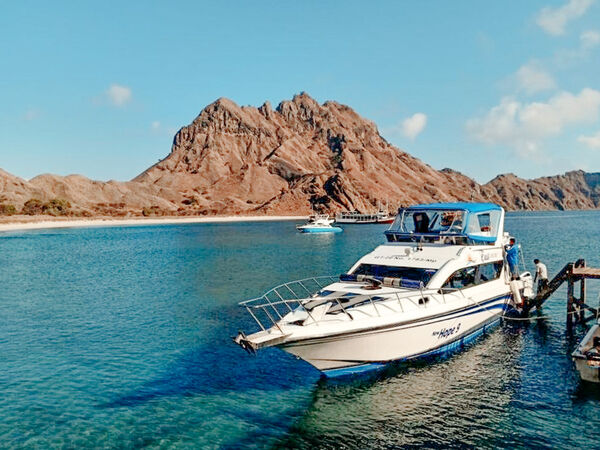 1-Day Komodo Sightseeing & Snorkelling | Spacious Speedboat | Seek Sophie