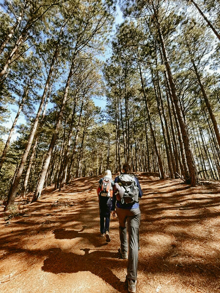3 Best Hiking in Da Lat in 2024 - Seek Sophie