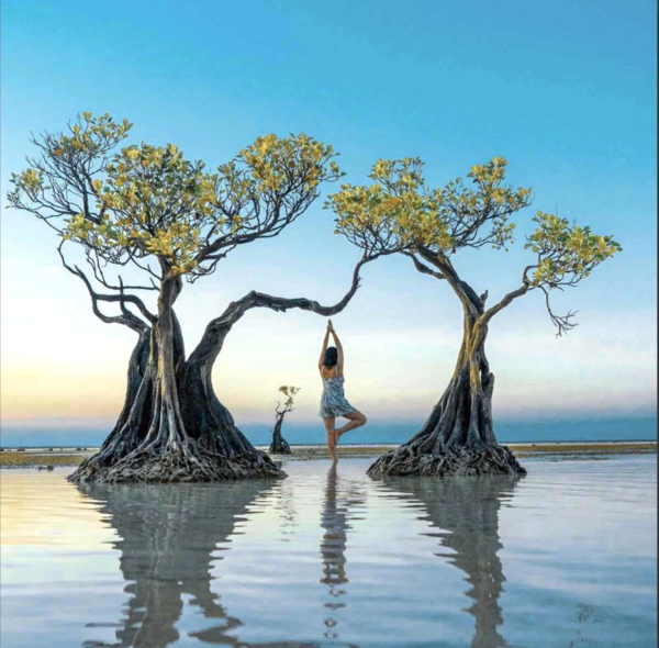 Seek Sophie | 4D3N Sumba Highlights | Small Group