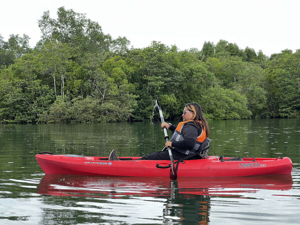 Full-Day Kayak & Cycle Around Pulau Ubin (Age: 7+) | Seek Sophie