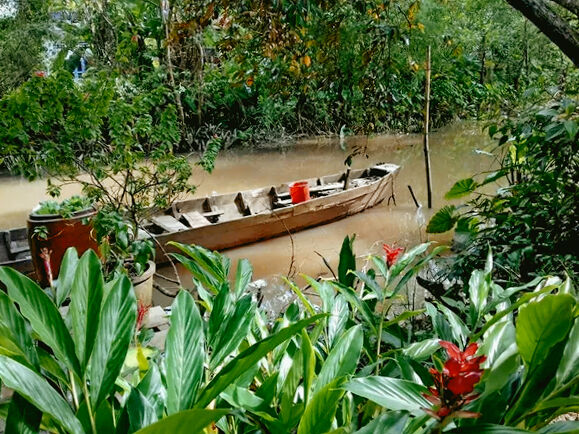 3D2N Authentic Village Homestay in Bến Tre **Includes Sampan Ride to ...