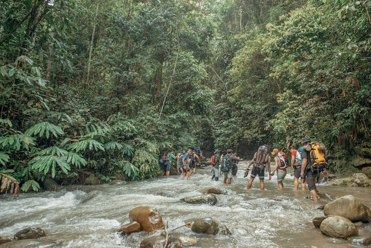 1 Best Danum Valley Experiences in 2024 - Seek Sophie