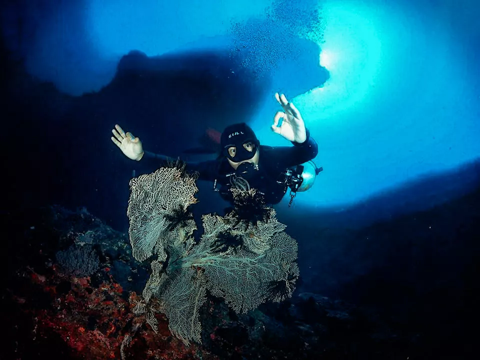 6 Best Diving in Kenting in 2023 - Seek Sophie