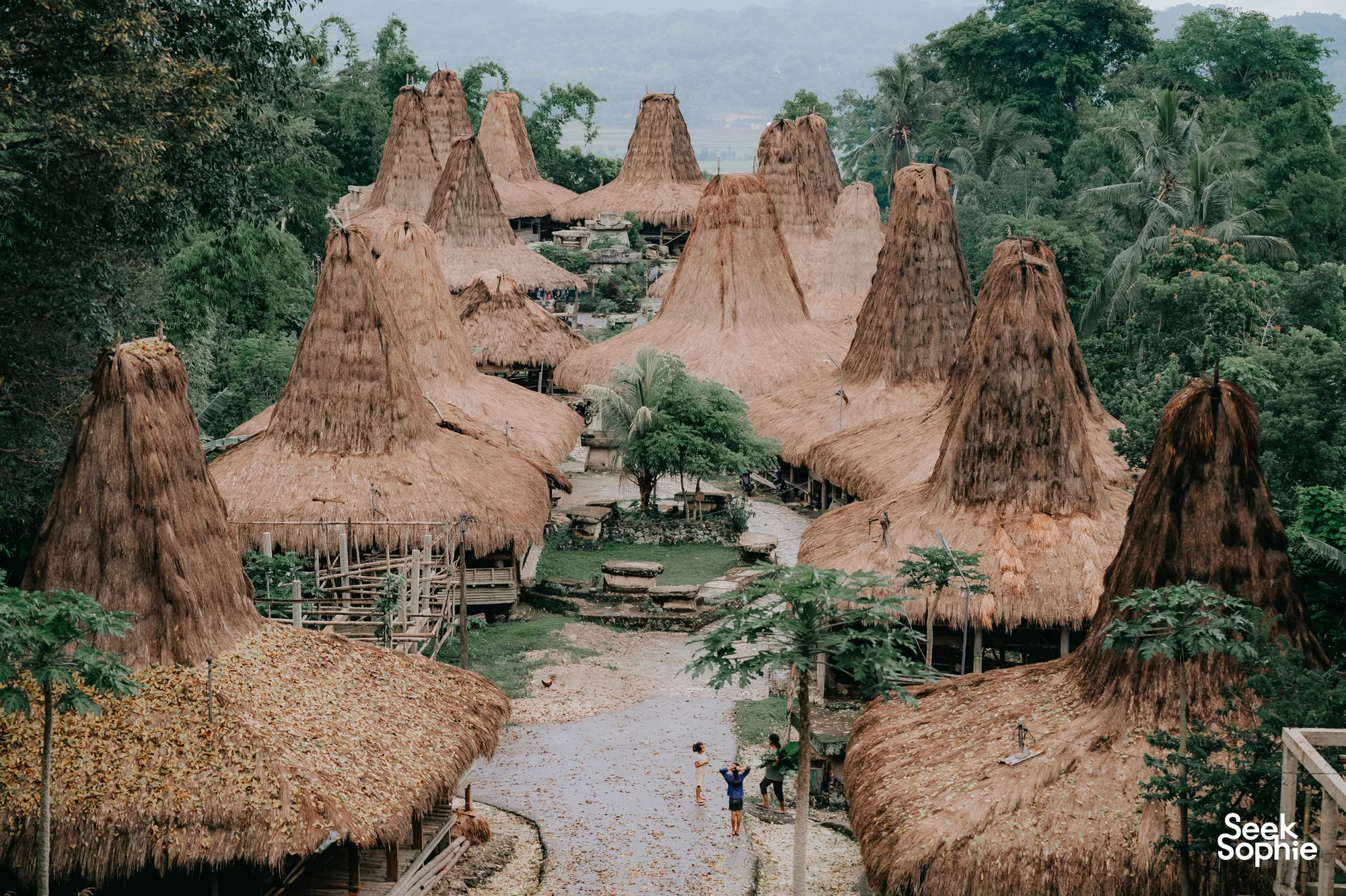 Insider tips for Sightseeing Tours in Sumba [2025] | Seek Sophie