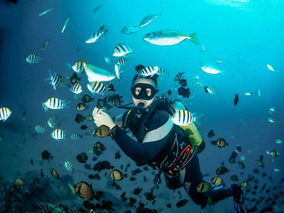 3 Best Diving in Kenting in 2024 - Seek Sophie