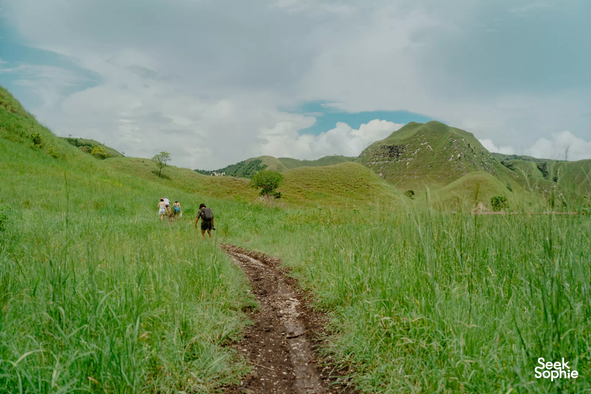 Seek Sophie | Insider tips for Sumba Experiences [2024]