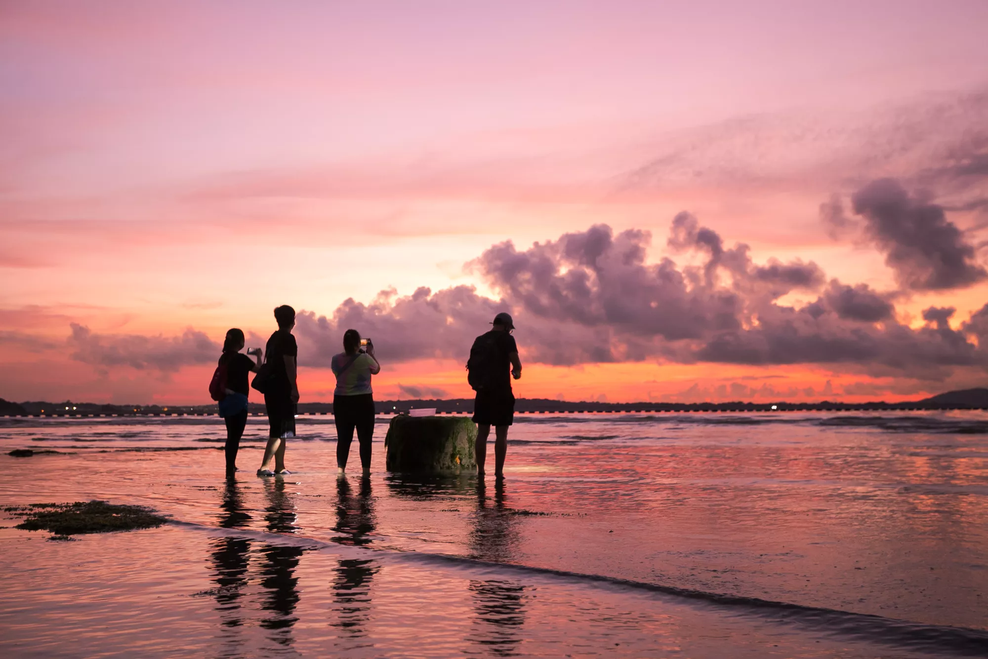 Wildlife & Nature Trails in Sentosa for Sentosa Experiences - Seek Sophie