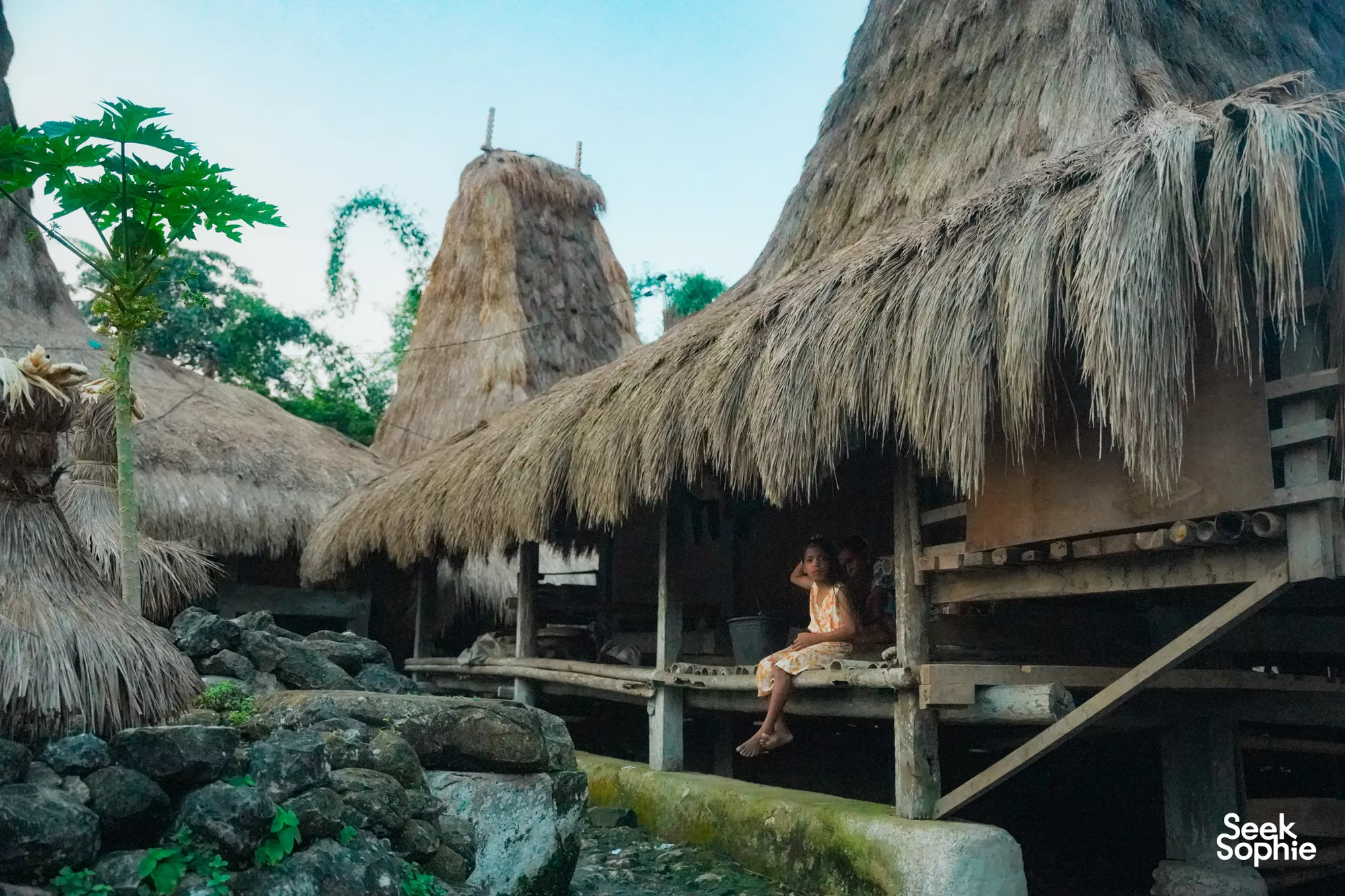 Seek Sophie | Insider tips for Sumba Experiences [2024]